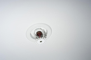 Common Parts Used in Fire Sprinkler Systems - Fire Sprinkler System ...